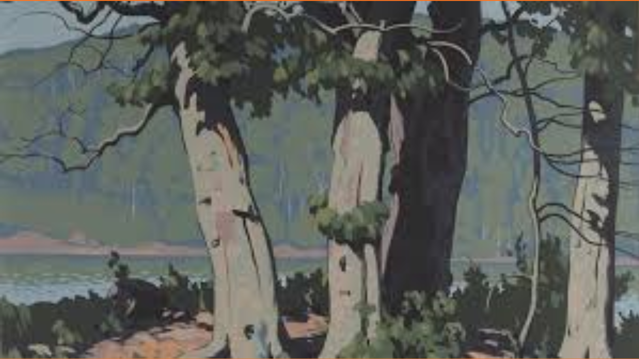 TVDSB Cites Security Concerns to Keep Art Collection Details Secret ...